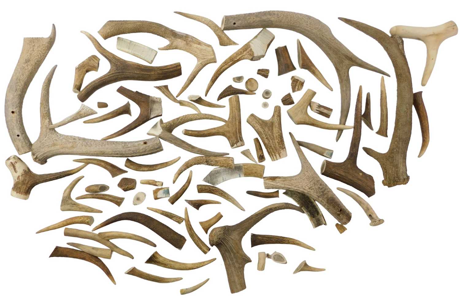 Lot 383 - A group of deer antlers, some walking stick